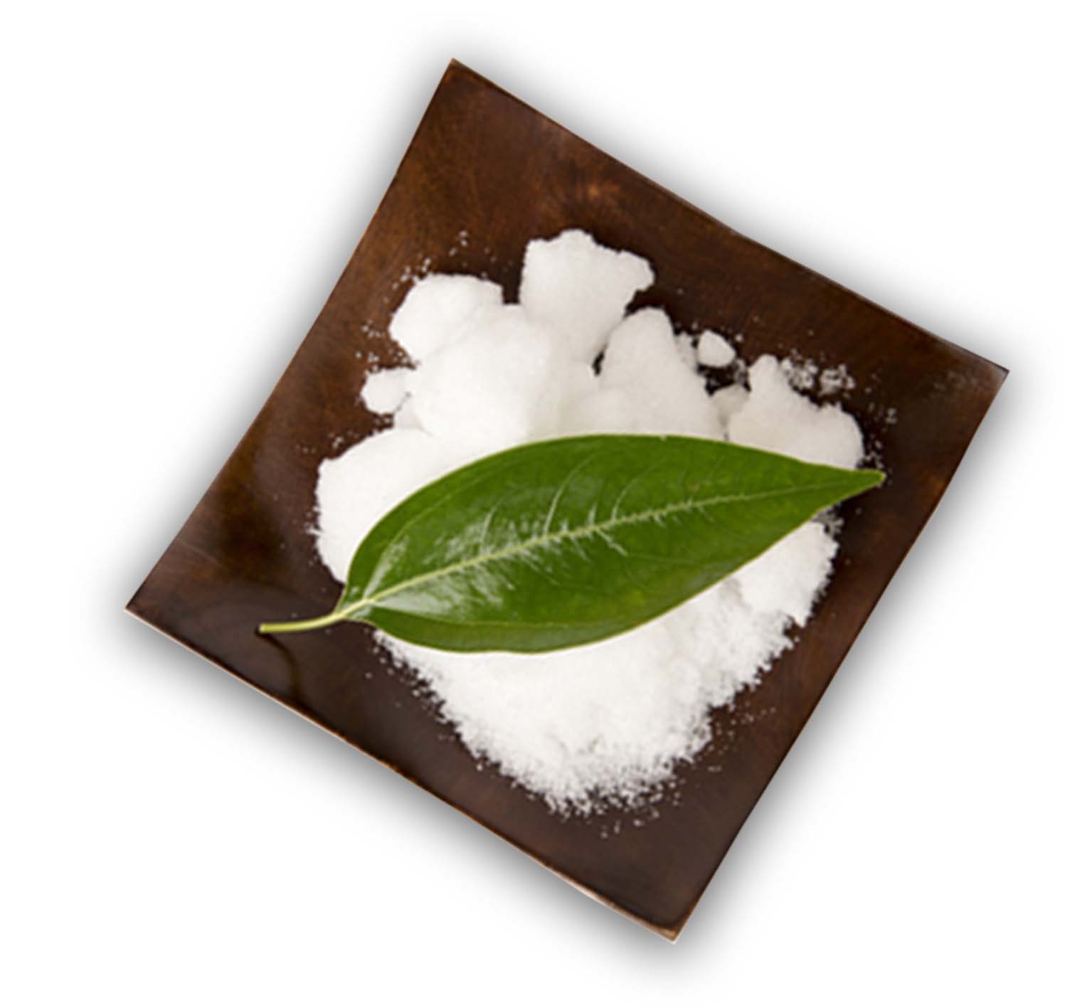 Campher & Kampferöl | Li-iL GmbH